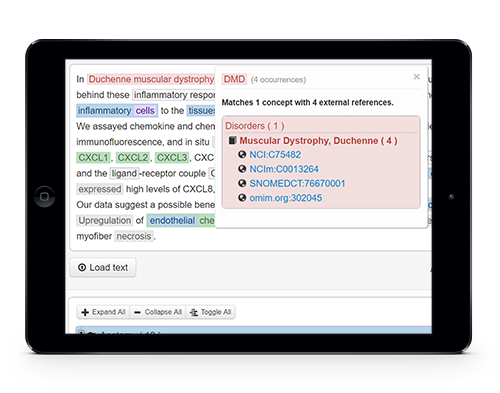 Savvy - BMD Software