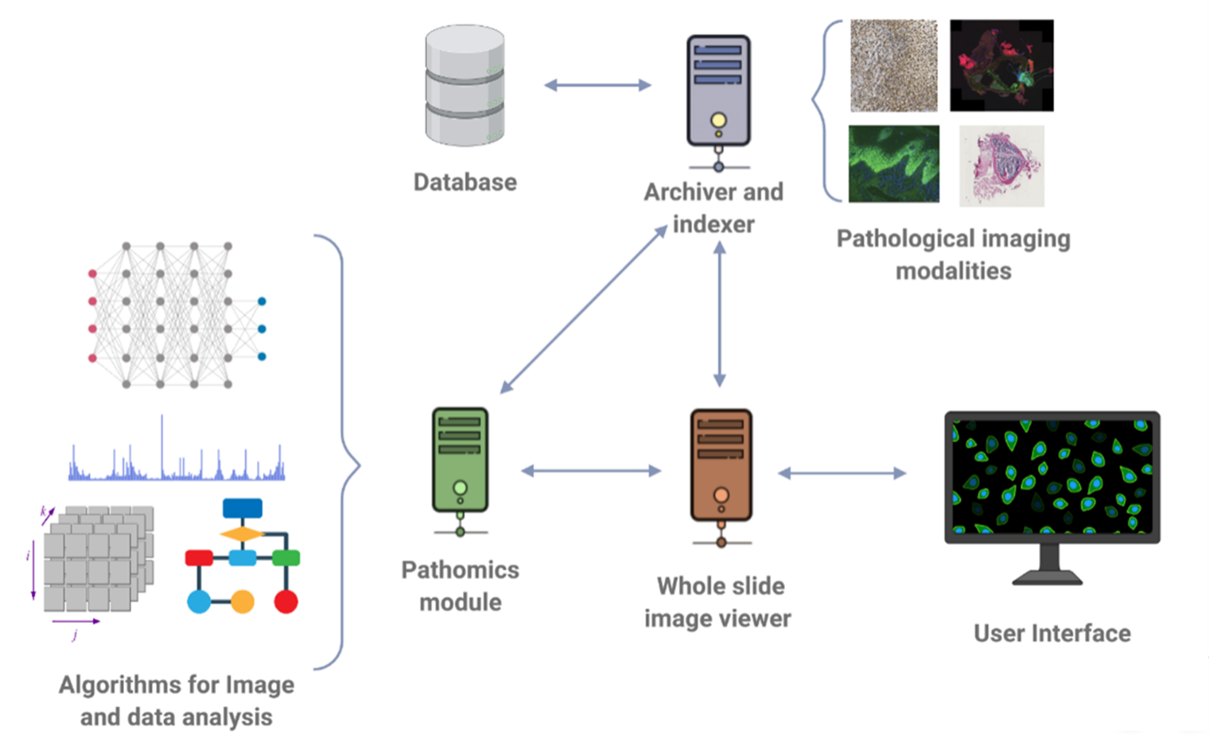 Digital Pathology Image Analysis Update Bmd Software